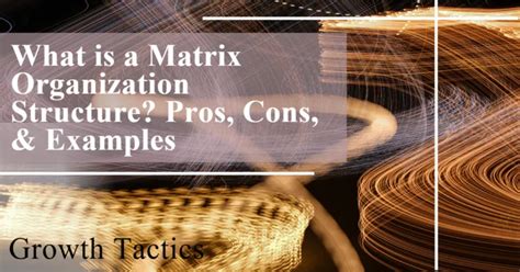 What Is A Matrix Organization Structure Pros Cons And Examples