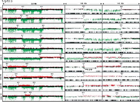 High Density Oligonucleotide Array Mapping Of Novel 17p13 3 Download Scientific Diagram