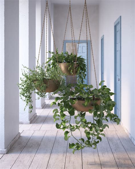 Indoor Plants Archmodels Vol 260 Evermotion
