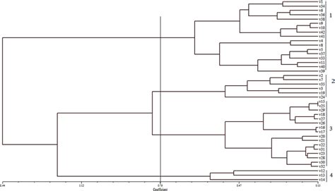 Dendrogram Constructed From Morphological And Agronomic Data