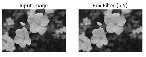 Image Filtering Techniques In Opencv