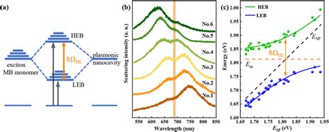 Strong Monomer Exciton Plasmon Coupling A Schematic Representation