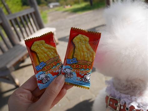 ちっちゃいミニイカフライかーわーいい ホリプロアナウンサー田中めぐみMegumi Blog