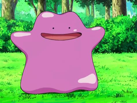 Real Ditto