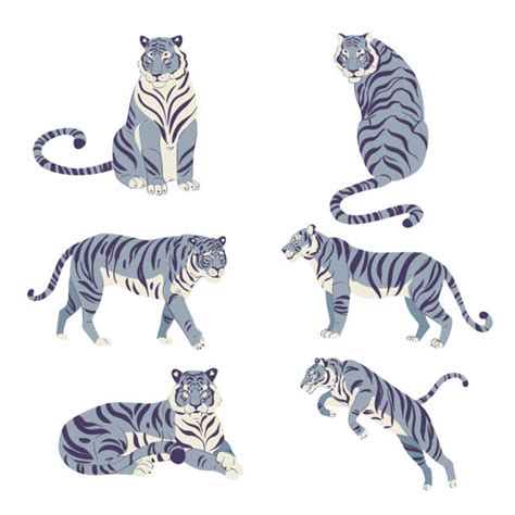 Tiger Walk Cycle