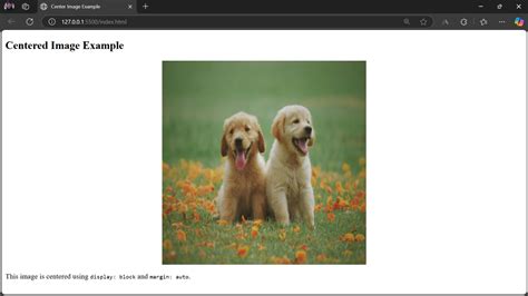 how to align an image in centre in html and css browserstack
