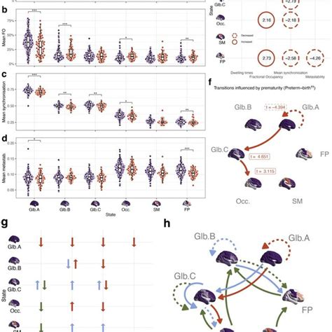 Effect Of Preterm Birth In Brain Dynamics A Mean Dwelling Times Download Scientific Diagram