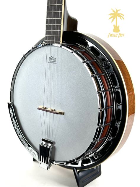 Ibanez B200 Closed Back Banjo