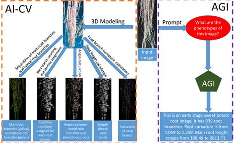 Plant Root Phenotyping Based On Ai Cv Computer Vision Methodologies Download Scientific