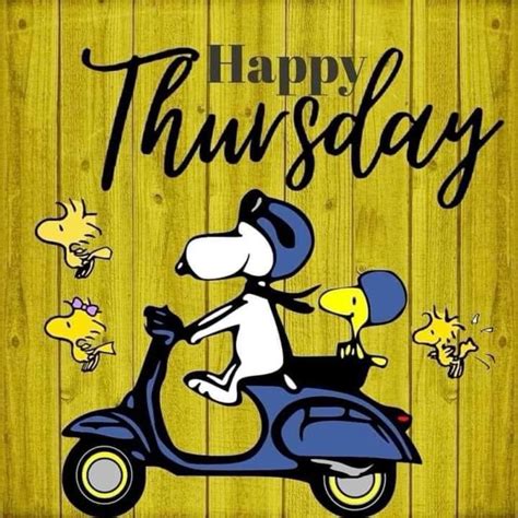 Good Morning Thursday Snoopy Pictures Snoopy Images Flying Ace Snoopy