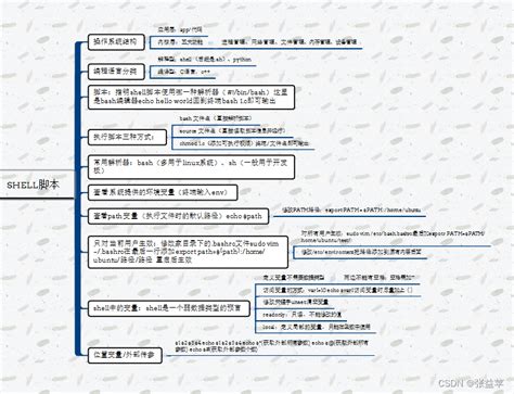 shell脚本基础 csdn博客