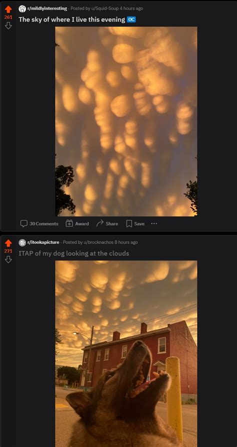 2008 Best R Juxtaposition Images On Pholder Why Dont Balding Men