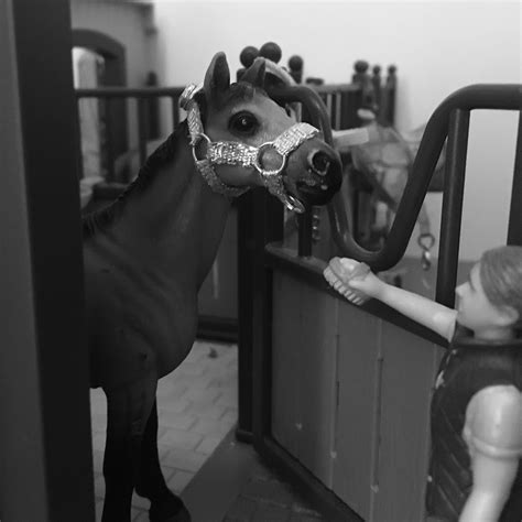 Tmi Model Horses Youtube