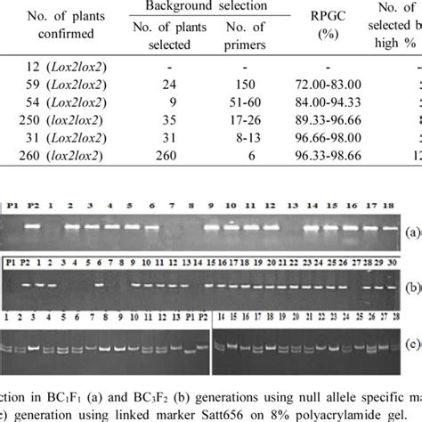 Details Of Foreground And Background Selection In Different Generations Download Scientific