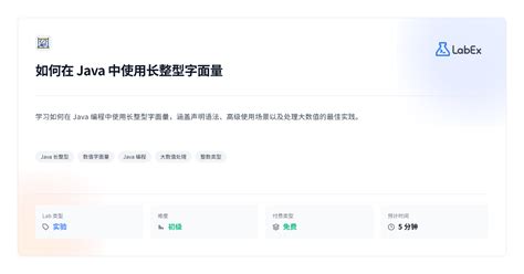 如何在 Java 中使用长整型字面量 Labex