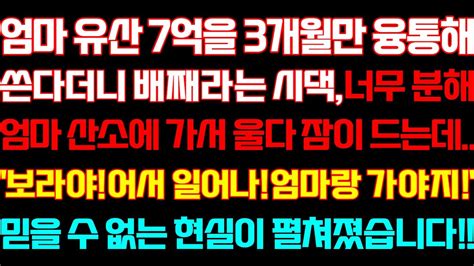 반전 신청사연 엄마유산 7억을 3개월만 융통해 쓴다더니 먹튀한 시댁 너무분해 엄마산소 가서 울다 잠이드는데믿을수없는 현실이