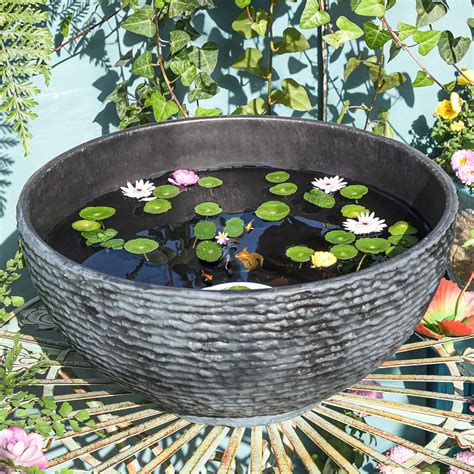 7 Best Container Water Gardens Roots That Stay Submerged