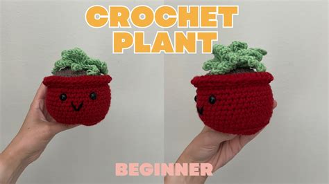 Crochet Plant Succulent Tutorial For Beginners Step By Step Tutorial