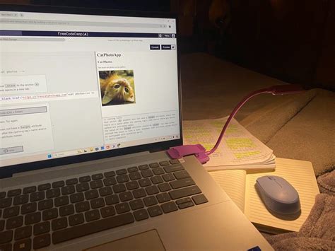 Rosy Politron On Linkedin Latenightcoder Htmlnewbie Codingjourney Html Coding