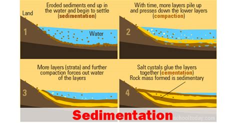 Sedimentation