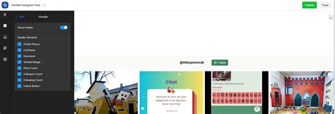 Elfsight Widget Doesnt Work Correctly On My Site General Questions Elfsight Community