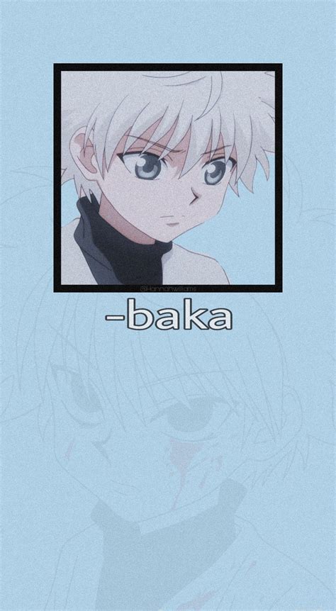 Baka Killua Zoldyck Hxh Wallpaper
