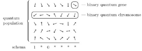 Illustration Of Binary Quantum Population Each Arrow Represent A State Download Scientific