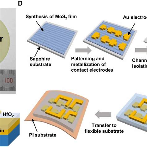 Wafer Scale Fabrication And Mos 2 Phototransistor Design A An Image Download Scientific