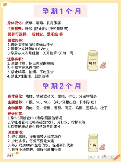 孕期10个月都需要做什么？一篇看懂孕期全指南 知乎