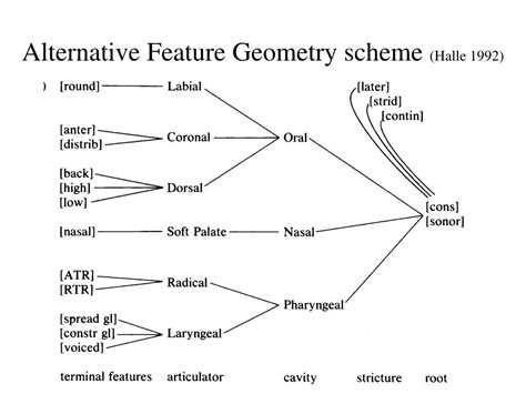 Ppt Phonological Theories Powerpoint Presentation Free Download Id