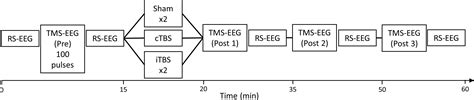 Assessing Neuromodulation Effects Of Theta Burst Stimulation To The Prefrontal Cortex Using Tms