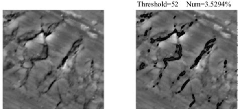 Reference Sample A Image From Sem B Processed Image Using Code