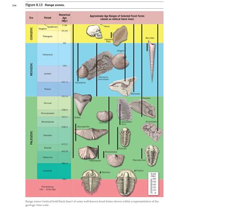 Index Fossil Chart