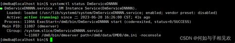 linux达梦数据库安装 linux安装达梦数据库 csdn博客