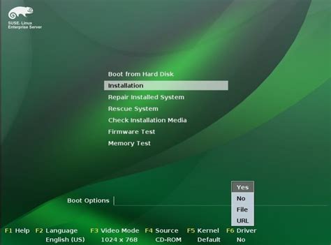suse linux 11 x 系统安装步骤 浪潮信息