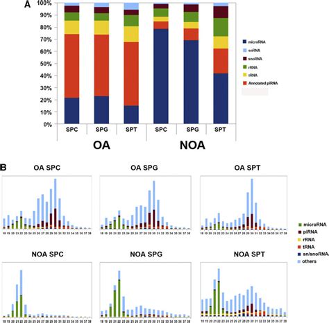 Composition And Length Distributions Of Small Non Coding RNAs In Human Download Scientific