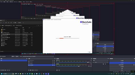 输入法导致burpsuite界面显示问题 知乎