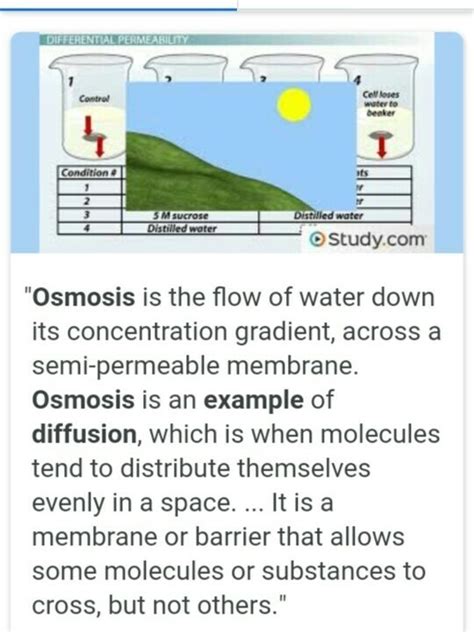 Diffusion Examples In Everyday Life