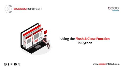 Using The Flush And Close Function In Python File