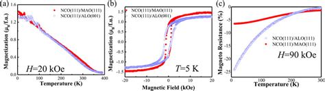 A The Temperature Dependence Of The Magnetization Of NCO 1 1 1 Download Scientific Diagram