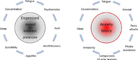 Figure 1 From The Role Of The Serotonergic System And The Effects Of Antidepressants During