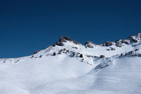 Sql Server Execution Plan Displays Estimated And Actual Number Of Rows