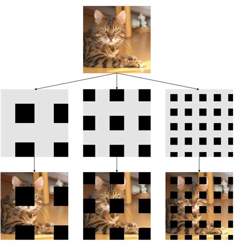 An Example Of Hide And Seek Augmentation Image Is Taken From 114 Download Scientific Diagram