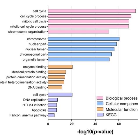 Replicate Multivariate Analysis Of Transcript Splicing Rmats A