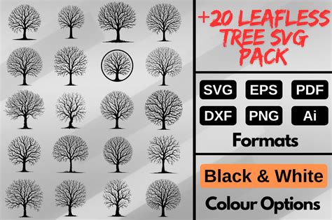 Leafless Tree Svg Bundle Pack Tree Png Graphic By Artful Assetsy