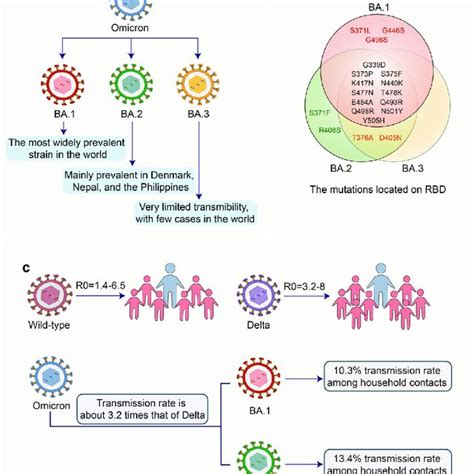 The Sub Lineages Of The Sars Cov 2 Omicron Variant A The Omicron Download Scientific Diagram