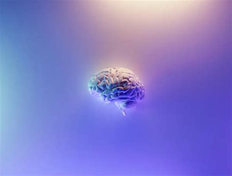 What Is Transfer Learning In Deep Learning Ml Journey