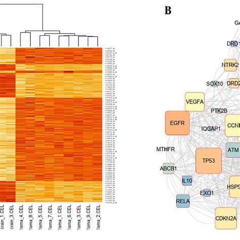 A The Heat Map Visualization Tool In The R Statistical Language Download Scientific Diagram