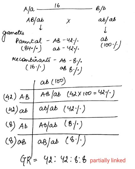 What Does It Mean When Two Loci Area Unlinkedb Partially Linkedc