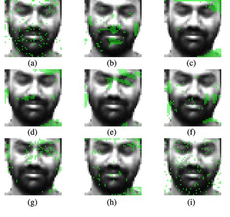Figure 1 From Pseudo Label Guided Structural Discriminative Subspace Learning For Unsupervised